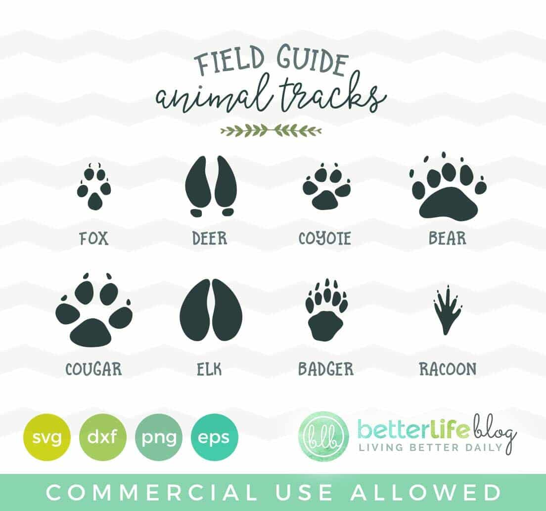 Field Guide Animal Tracks SVG Cut File - Better Life Blog
