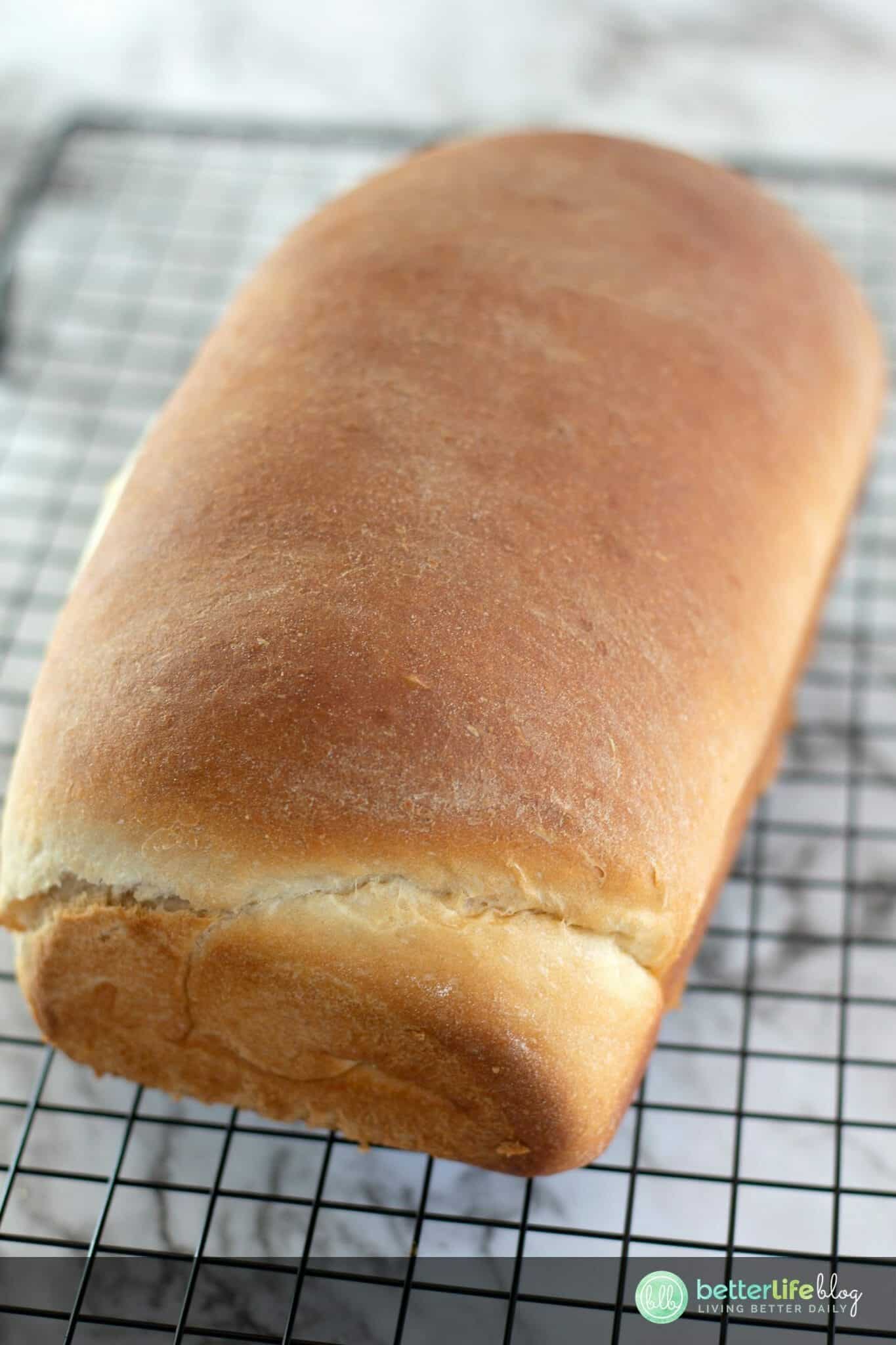 Homemade Bread in a Bag – Better Life Blog