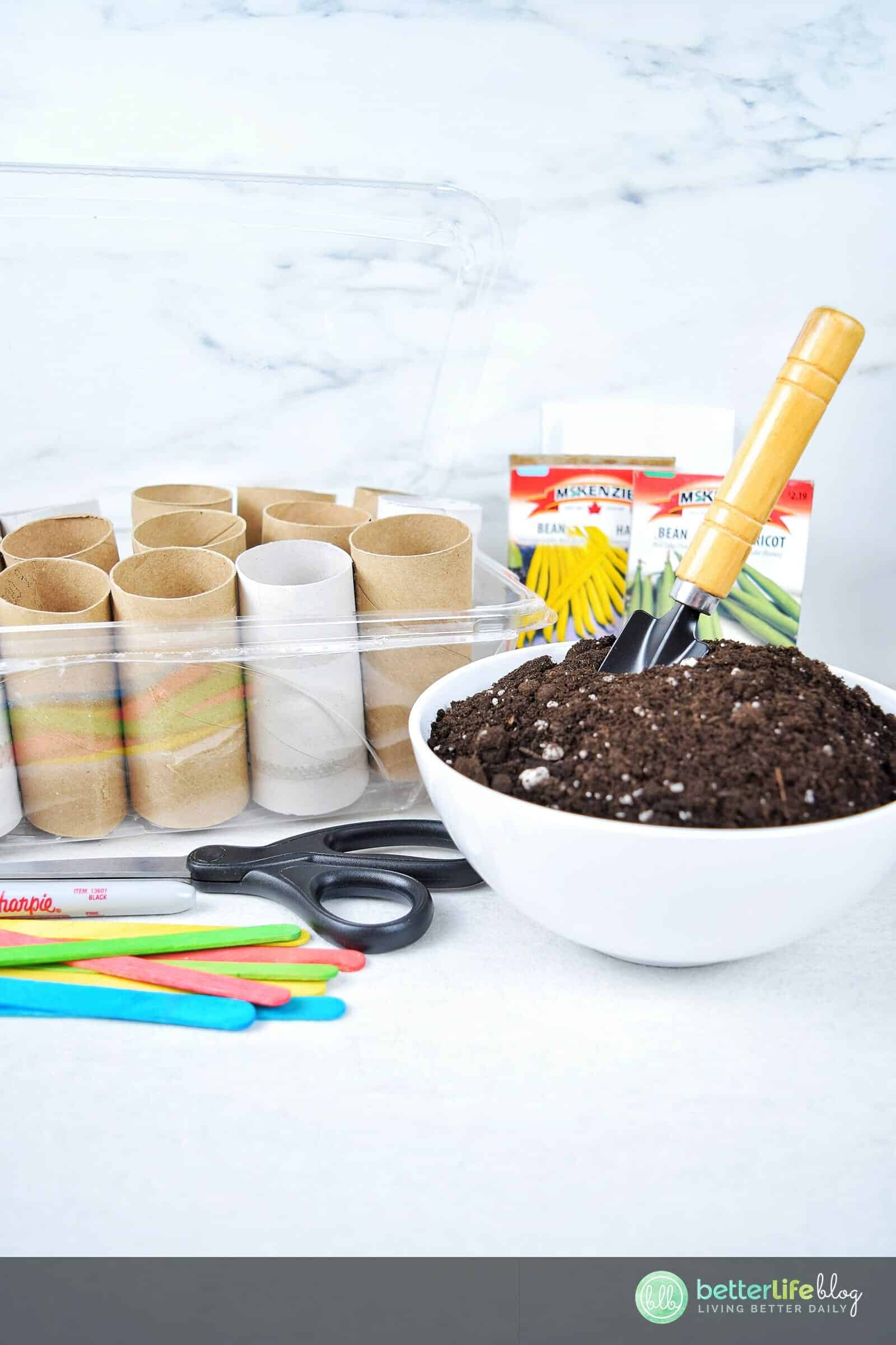 DIY Seed Starter | Gardening with Kids - Better Life Blog